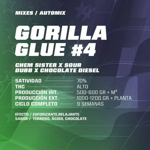Gorilla Glue #4 FEM ( BSF Seeds ) - VaporiumChile Gorilla Glue #4 FEM ( BSF Seeds ) - VaporiumChile