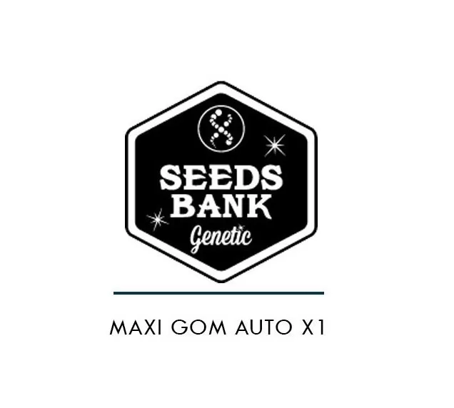 Maxi Gom Auto ( SeedsBank ) - VaporiumChile